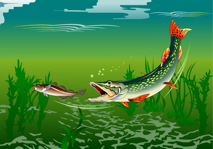 Rainbow Fish Cartoon Vector Images (over 1,400)