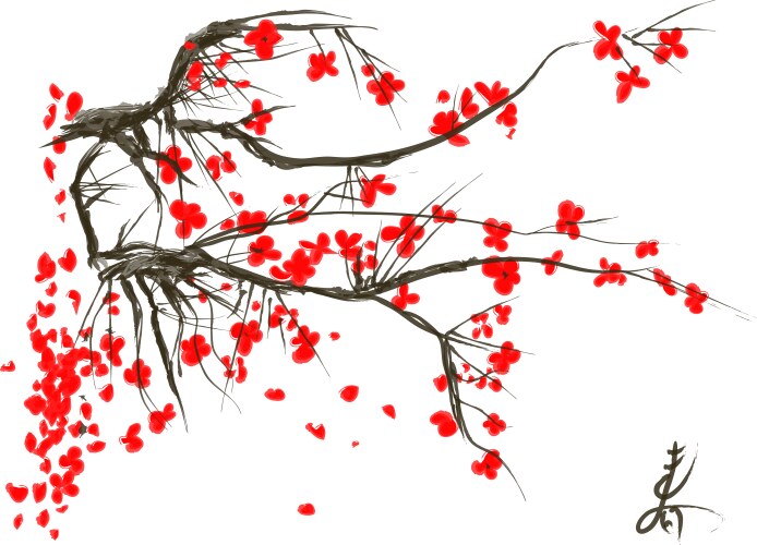 Japan sakura branches with cherry blossom flowers Vector Image