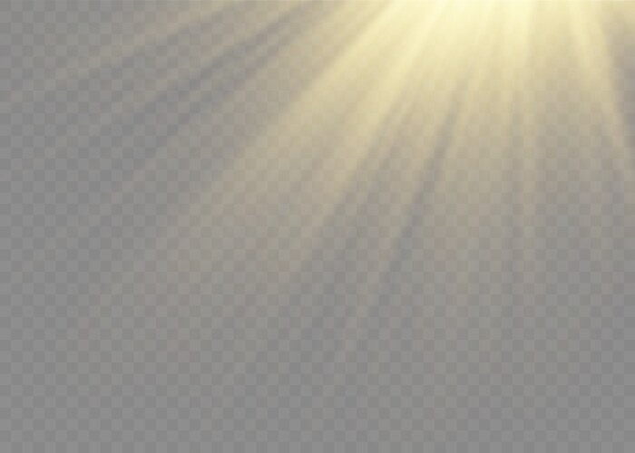 Sunlight special lens flash light effect Vector Image