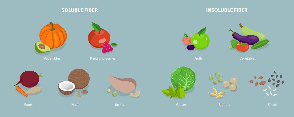 High Fiber Icon Vector Images (over 730)