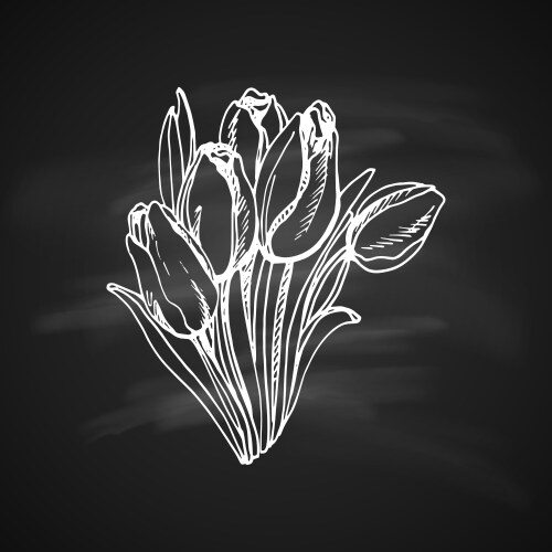 Tulip Vector Images (over 60,000)