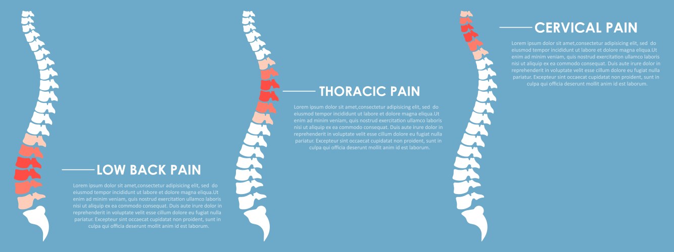 Spine Cartoon Vector Images (over 7,800)