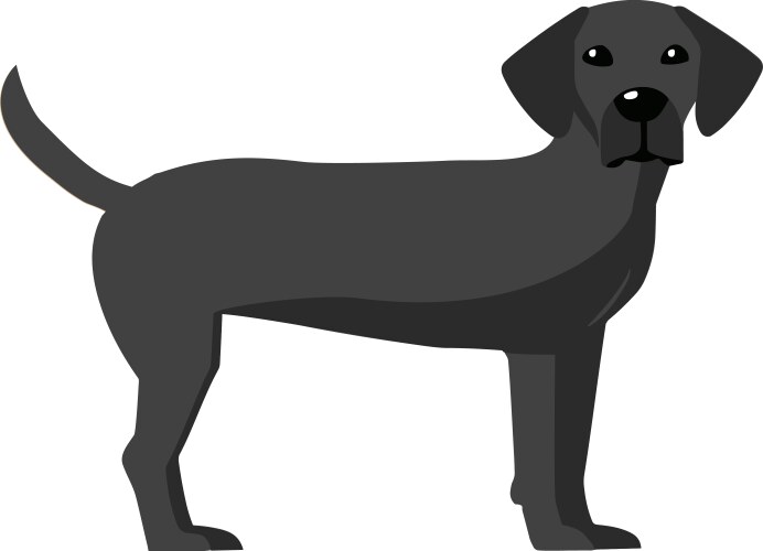 Black Labrador Vector Images (over 7,100)