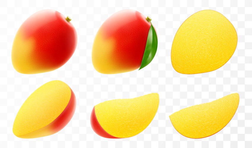 Mango Slice Logo Mango Slice Vector Images (over 4,500)