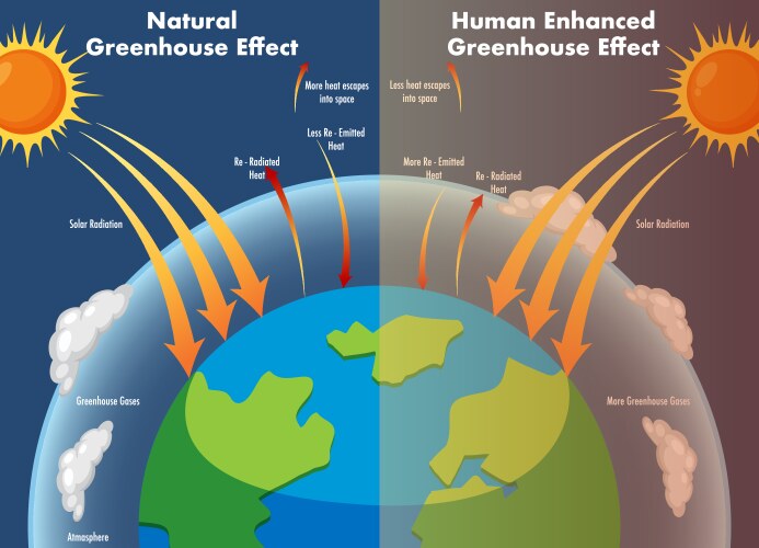 Diagram showing the greenhouse effect Royalty Free Vector