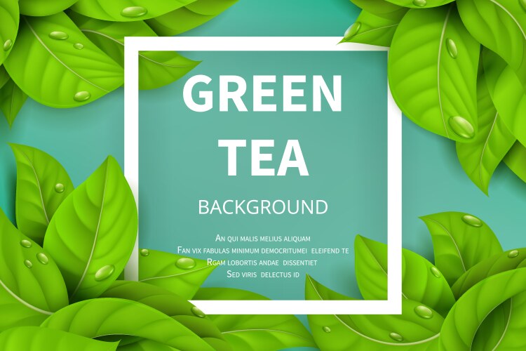 Tea Leaves Vector Images (over 19,000)