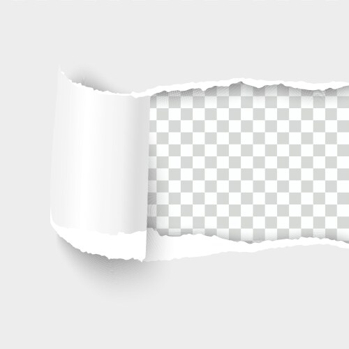 Torn snatched window in sheet white paper Vector Image