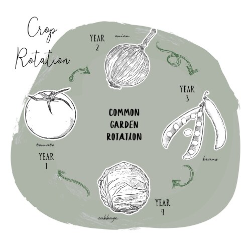 Crop rotation abstract concept Royalty Free Vector Image