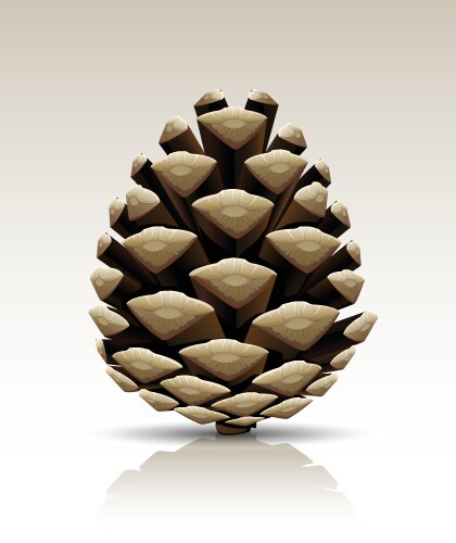 Pine Cone Vector Images (over 14,000)
