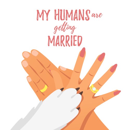 Wedding bride and groom Royalty Free Vector Image