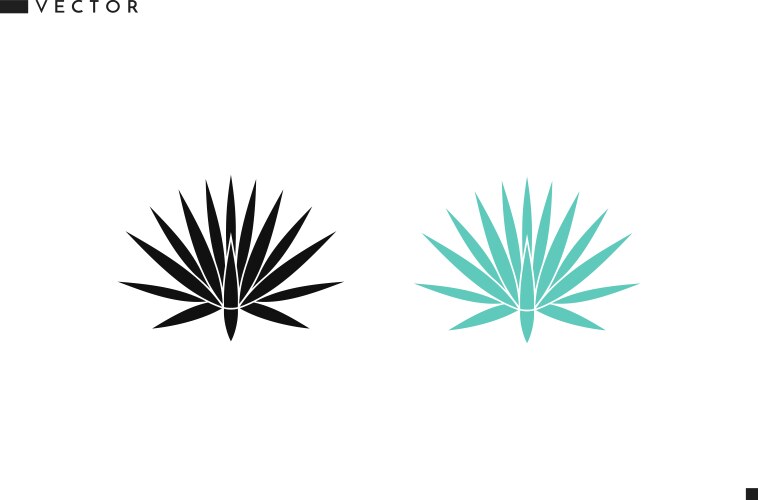 Agave Vector Images (over 5,900)