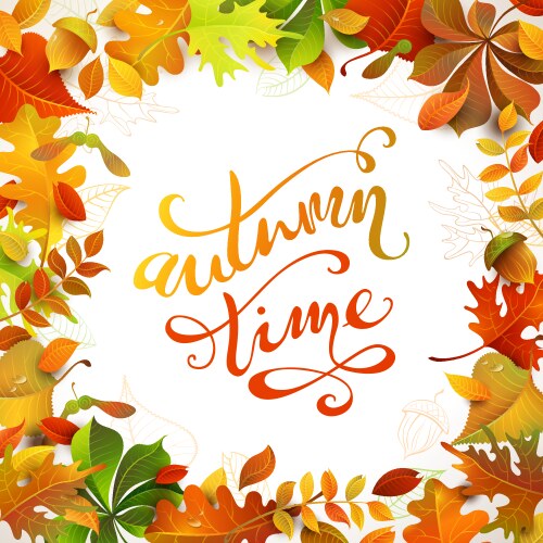 Autumn composition Royalty Free Vector Image - VectorStock