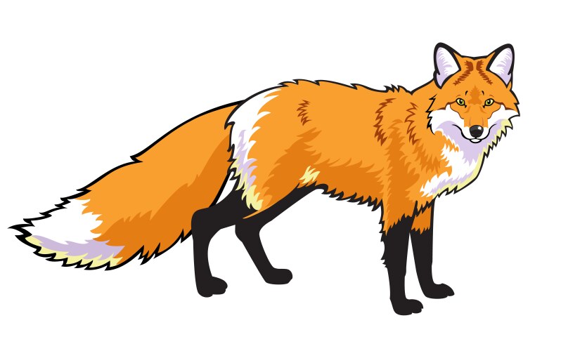 Fox Vector Images (over 69,000)