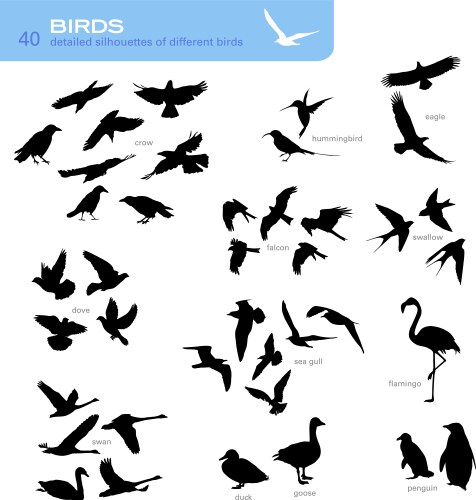 Birds Vector Images (over 630,000)