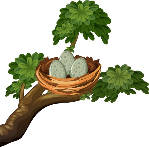 Nest Vector Images (over 33,000)