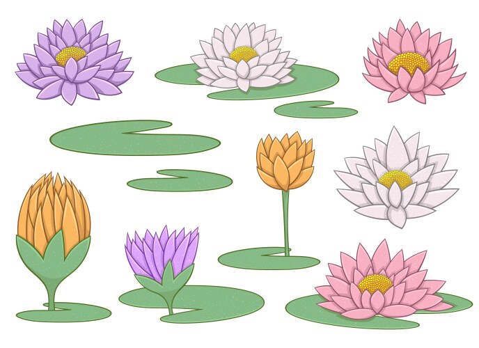 Water lily green leaves blue lake Royalty Free Vector Image