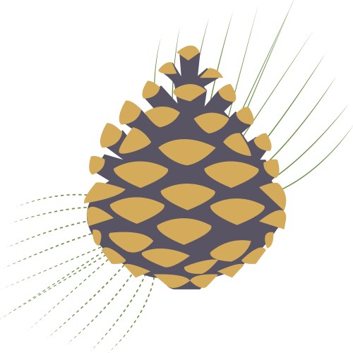 Pinecone Vector Images Over 6 900