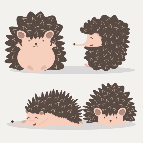 Hedgehog Royalty Free Vector Image - VectorStock