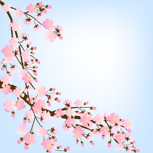 Seamless pattern with cherry blossoms spring Vector Image