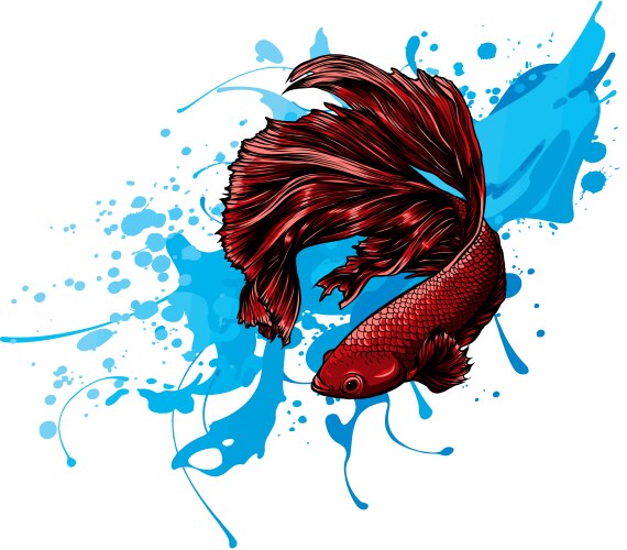 Biker and koi fish water splash Royalty Free Vector Image