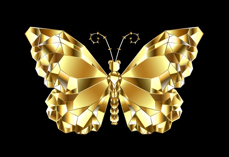 Gold abstract butterfly on black background Vector Image