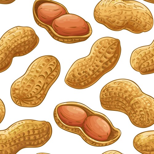 Groundnut Vector Images (over 2,300)