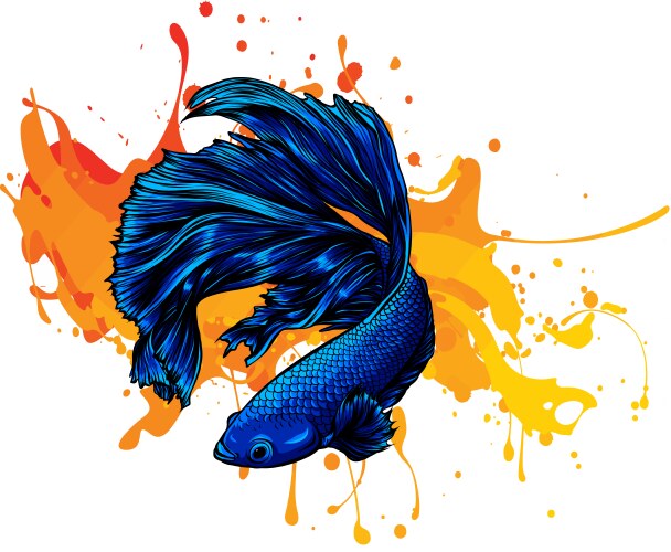 Biker and koi fish water splash Royalty Free Vector Image