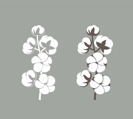 Cotton Vector Images (over 180,000)