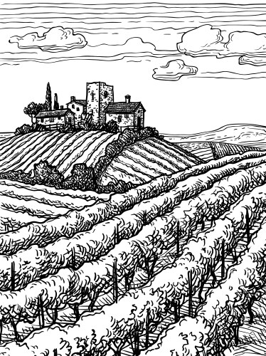 Hand drawn vineyard landscape Royalty Free Vector Image