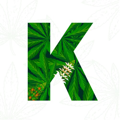 Green leaf alphabet letter n Royalty Free Vector Image