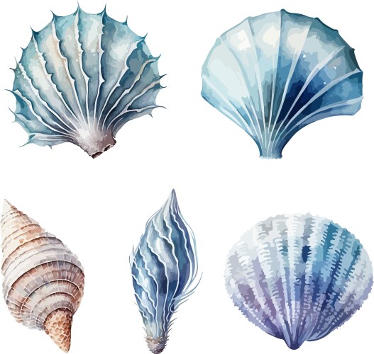 Clam Shell Clip Art Vector Images (over 280)