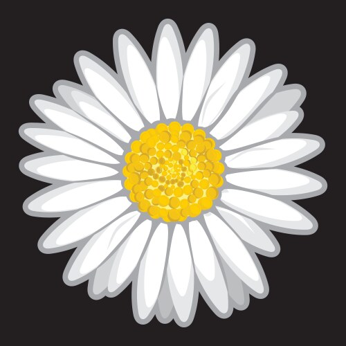 Daisy Flower Vector Images (over 76,000)