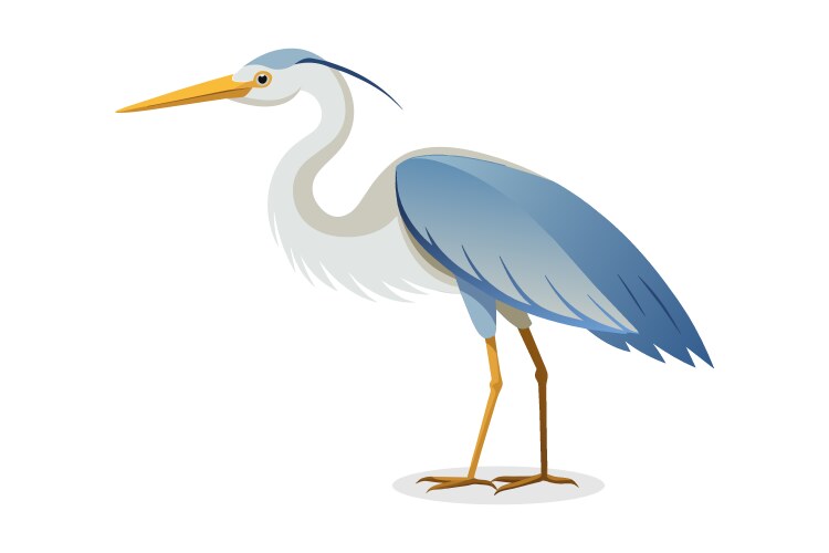 Gander bird on white background Royalty Free Vector Image