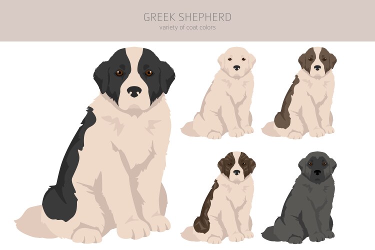 Greek Shepherd Vector Images (56)