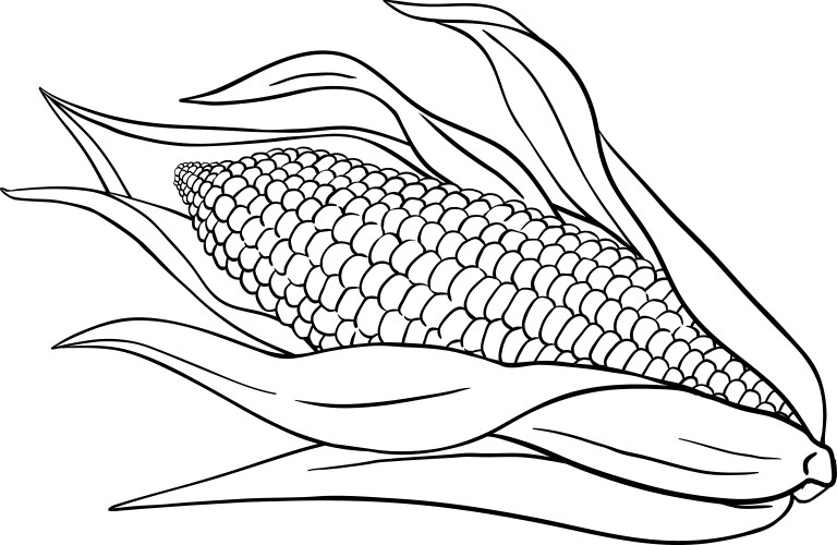 Cob Corn Outline Vector Images (over 1,600)