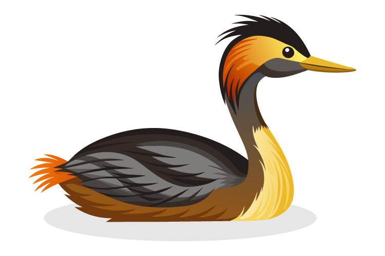 Gander bird on white background Royalty Free Vector Image