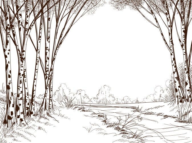 Forest drawing Royalty Free Vector Image - VectorStock