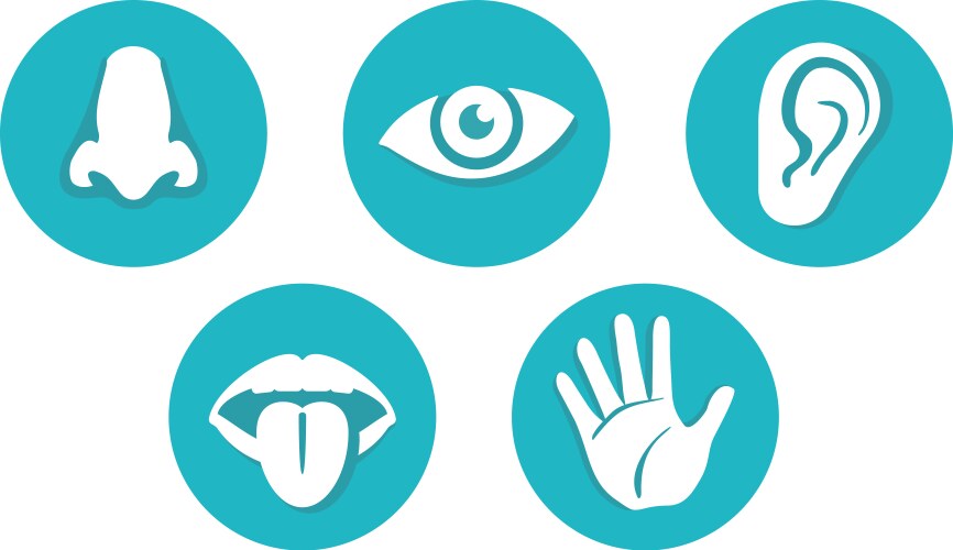 Cartoon Five Senses Vector Images (over 570)