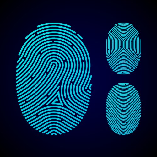 Fingerprint Royalty Free Vector Image - VectorStock