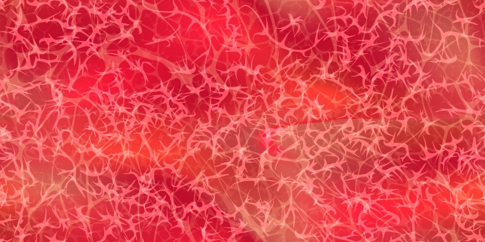 Kobe Bryant Vector Images (6)