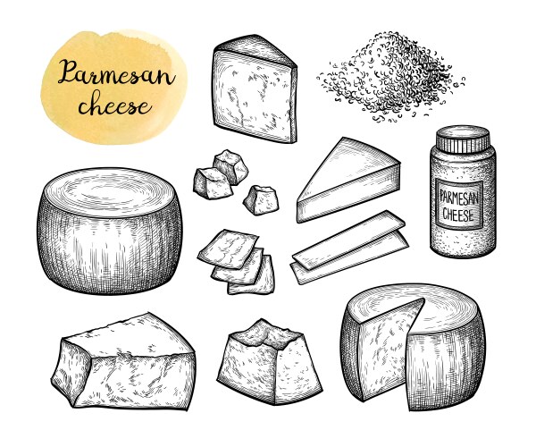 Parmesan cheese chalk sketch set Royalty Free Vector Image