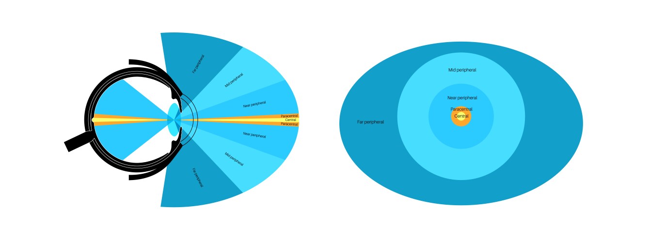 Peripheral vision poster Royalty Free Vector Image