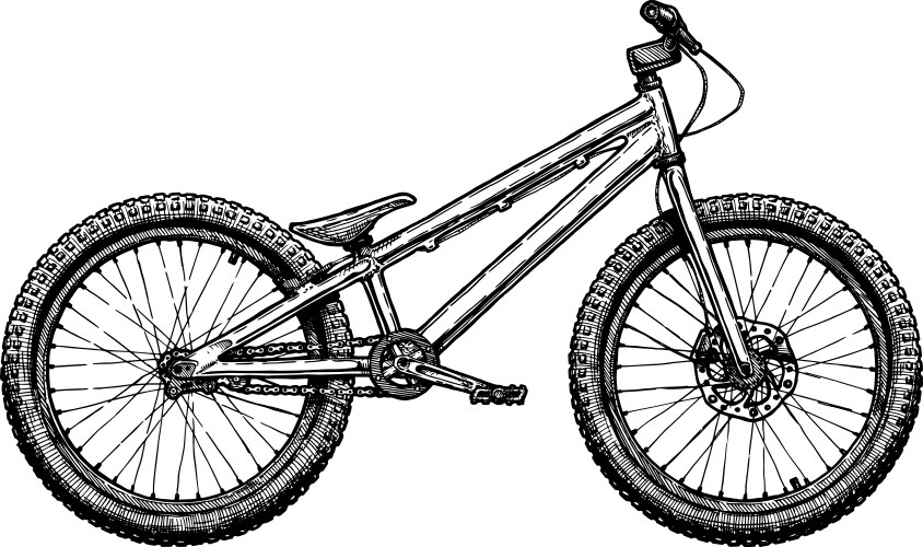 Downhill mountain bike Royalty Free Vector Image
