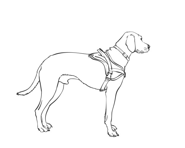 Dog Side View Vector Images (over 2,200)