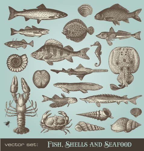 Free Fish Vector Images (over 14,000)