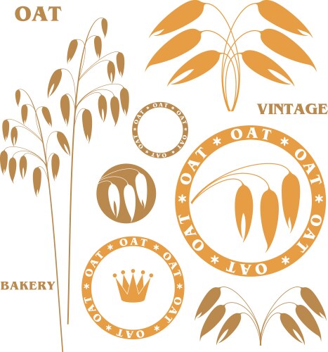 Oat plants rolled oats 3d realistic icon set Vector Image