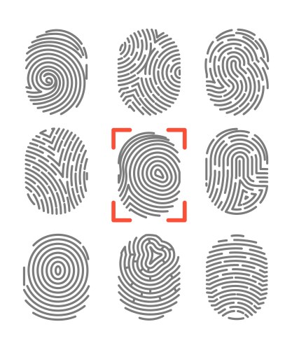 Fingerprint or fingertip print pattern Royalty Free Vector