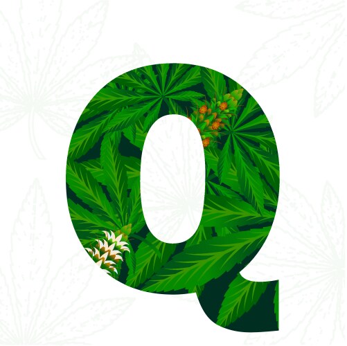 Letter with cannabis leaf for logo design Vector Image