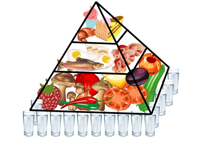 Food pyramid with proteins Vector Images & Graphics for Commercial Use ...