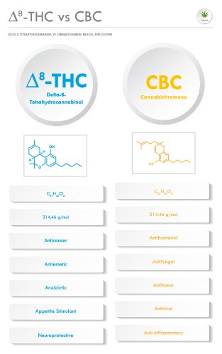 9-thc vs cbc delta 9 tetrahydrocannabinol Vector Image